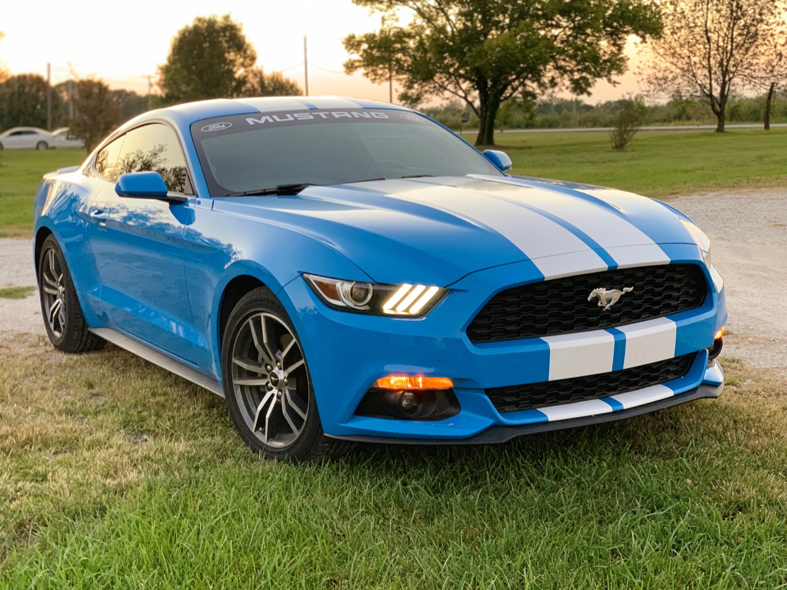 Blue Mustang Racing Stripe & Windshield Banner - Cutting Loose Graphics